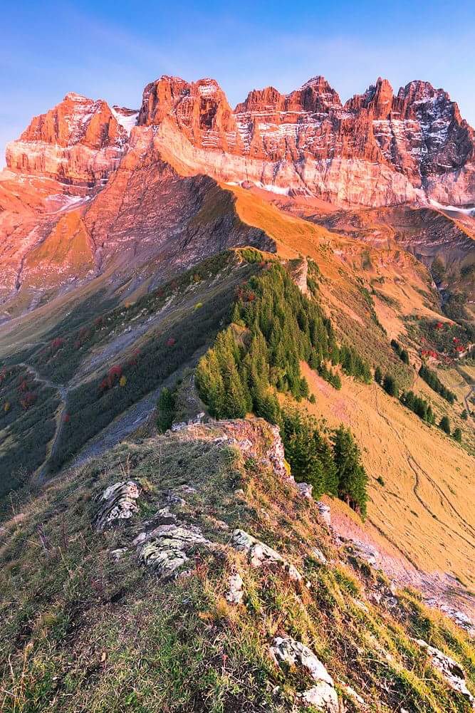 Dents-du-Midi de Bellon Patrick - Alpage la Chaux